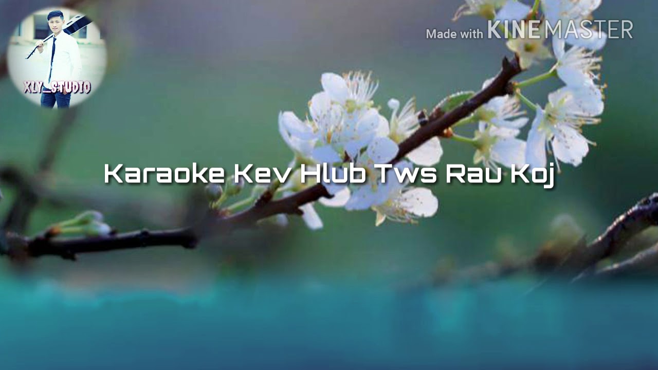 [Karaoke] Kwm Lis-Kev Hlub Tws Rau Koj instruments - YouTube