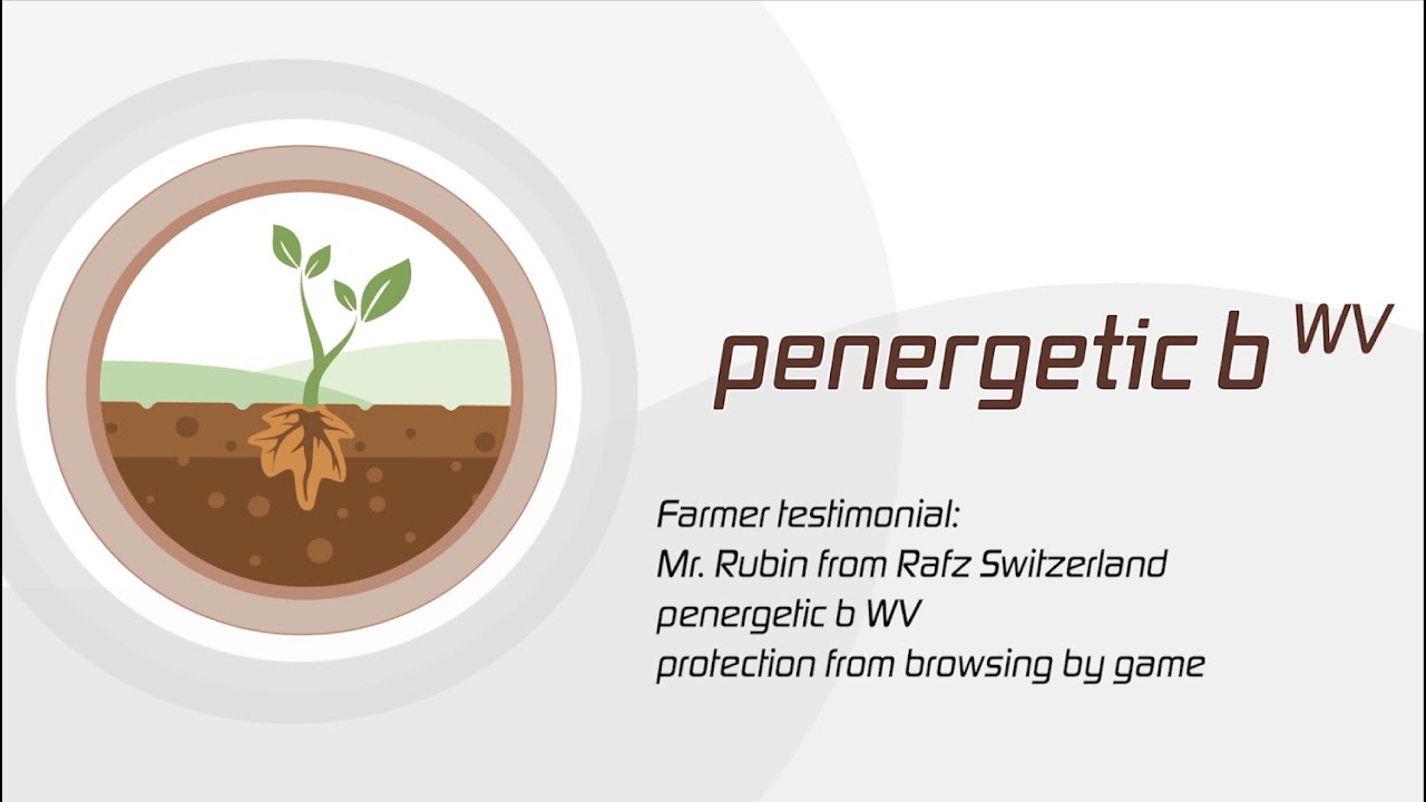 Wild boar deterrence: Testimonial penergetic b WV Switzerland 2019 ...