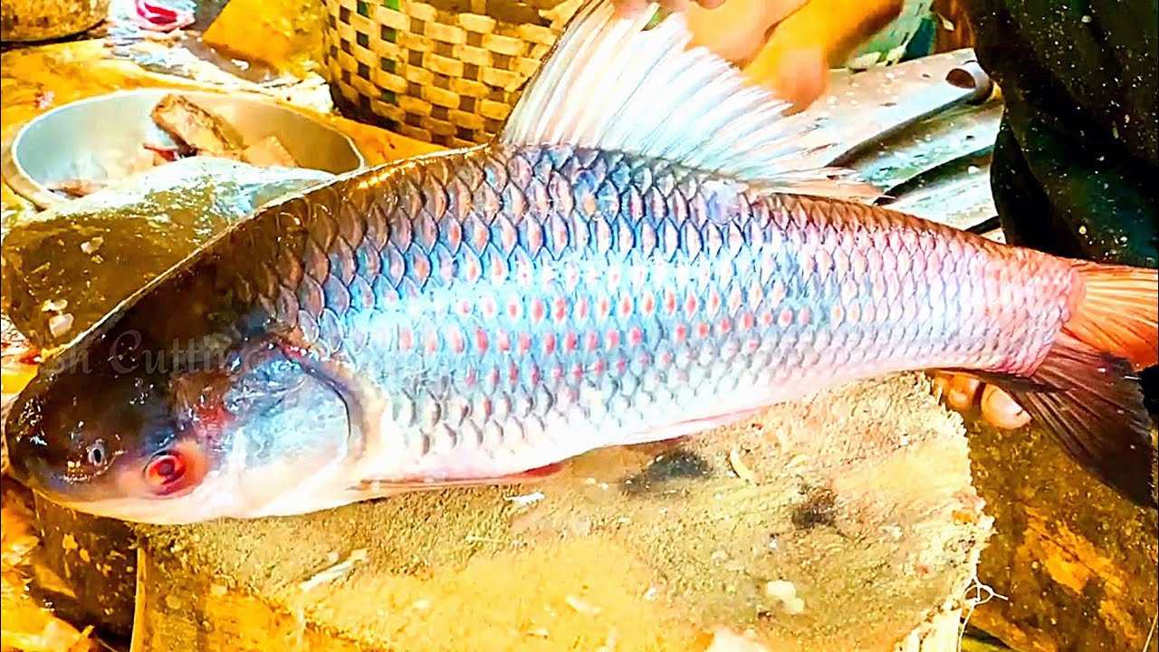 Popular Big Rohu Fish | Giant Rohu Fish Cutting Skills | Live Rohu Fish ...
