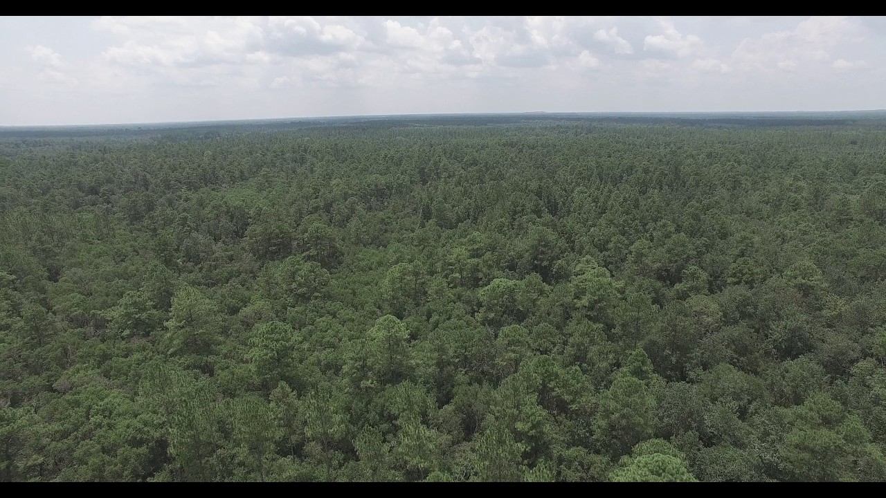 TRIPLE R RANCH - YouTube