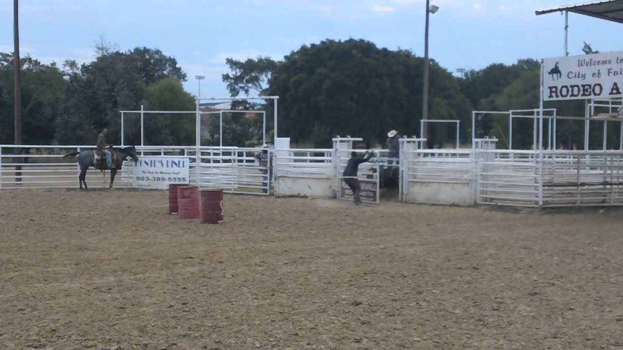 3B Cattle Company 198 - YouTube