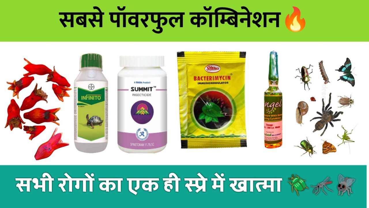 best fungicide insecticide combination | Bayer Infinito | summit ...