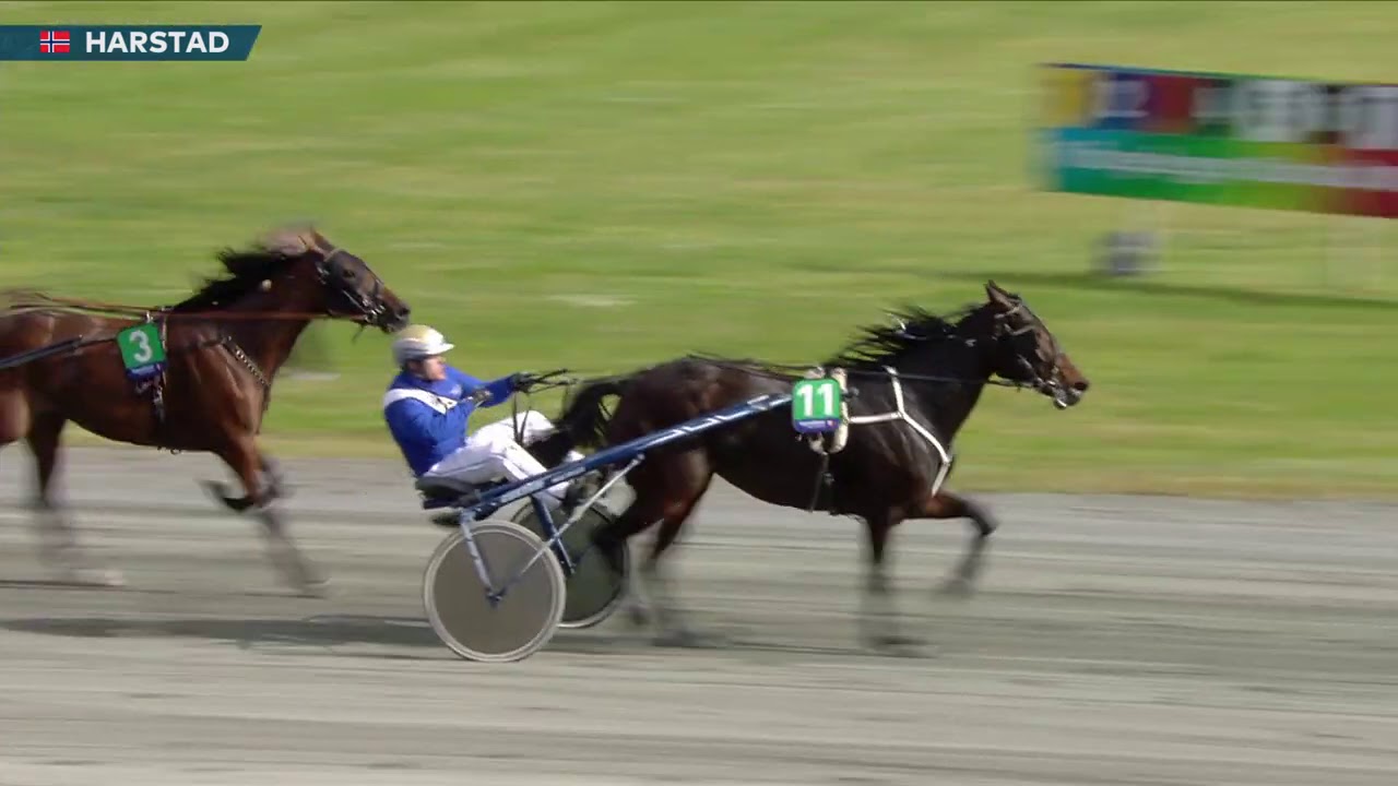V75 på 30 minutter, lørdag 1. august 2020 - YouTube