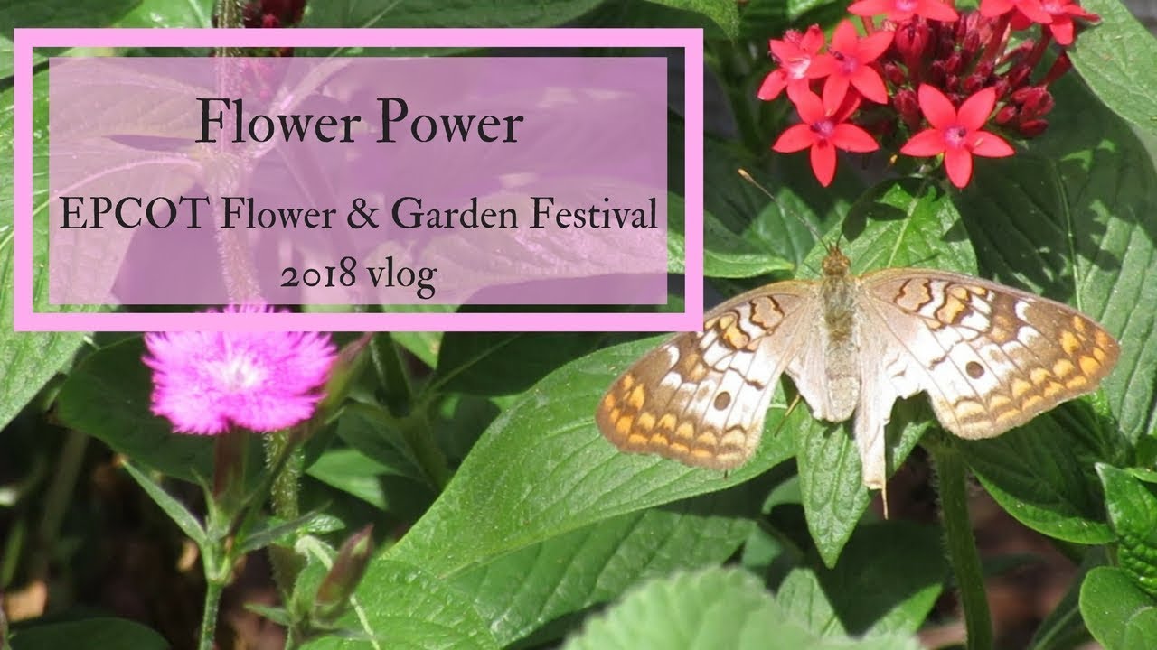 Flower Power - EPCOT Flower & Garden Festival 2018 vlog - YouTube