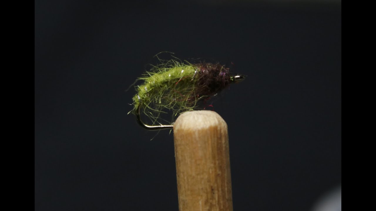TYING A NYMPH GREEN CADDIS LARVA - YouTube