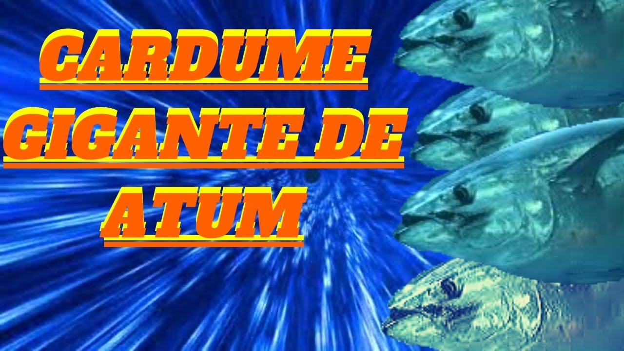 🎣🐟PESCA DE ATUM,PESCA DE ATUM EM ALTO MAR,CARDUME GIGANTE DE ATUM,pesca ...