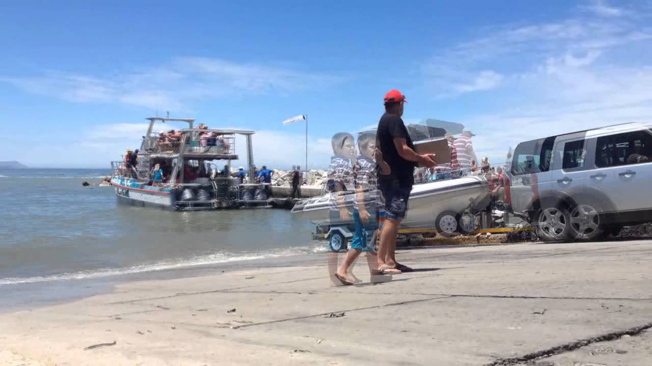Kleinbaai Harbour during the busy Shark Cage diving season - YouTube