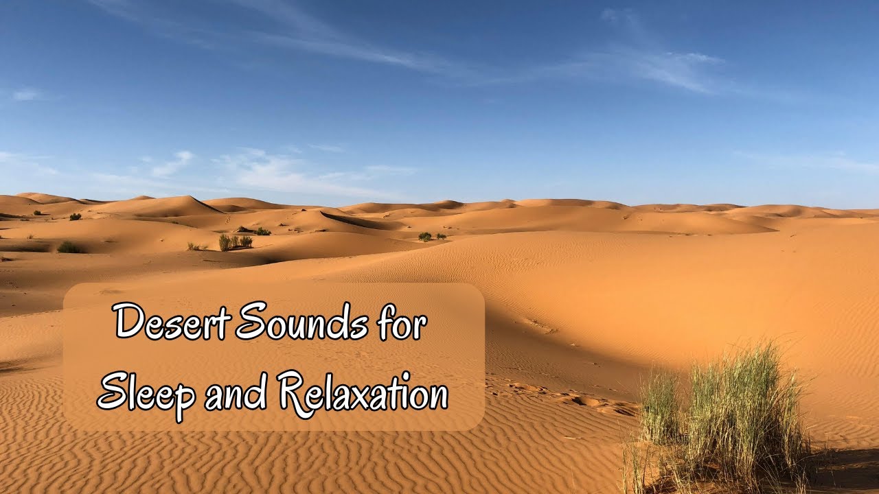 Desert Echoes 🌵 | Relaxing Sounds of Sand and Wind - YouTube