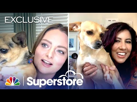 Lauren Ash and Stephanie Beatriz's Dogs Get in on the Video Chatting Fun - Superstore