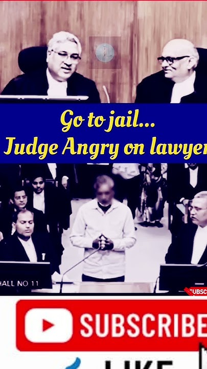 Go to jail... Judge Angry on lawyer #court #judge #law #shorts #reels #legal #highcourt # ...