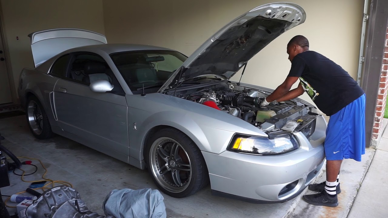 FINALLY FOUND MY BOOST PROBLEM! | MAX HP TERMINATOR COBRA - YouTube
