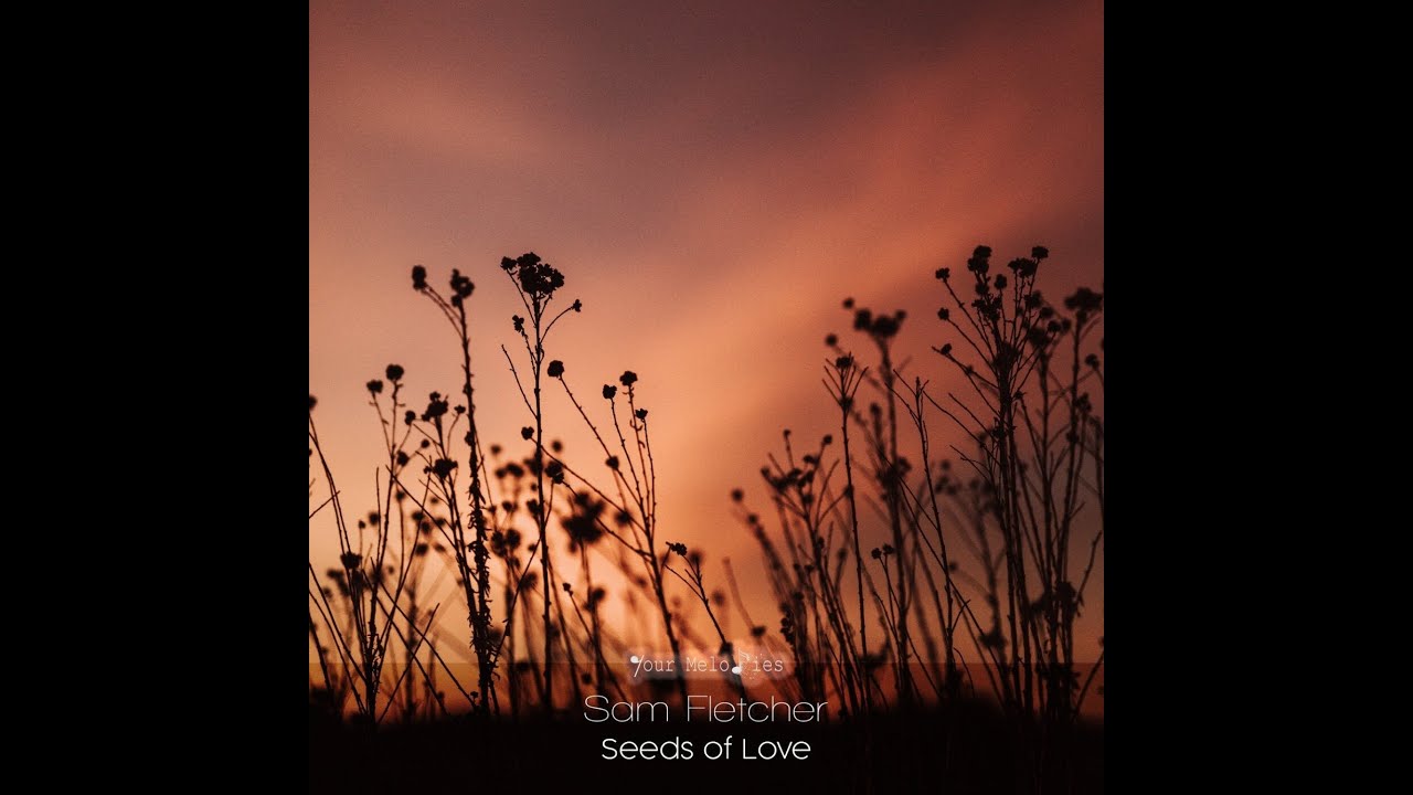 SAM FLETCHER...SEEDS OF LOVE ...ORG MIX - YouTube