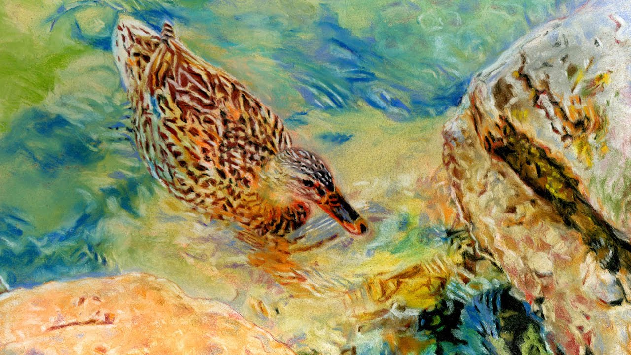 Upside Down Duck Pastel Drawing Timelapse - YouTube