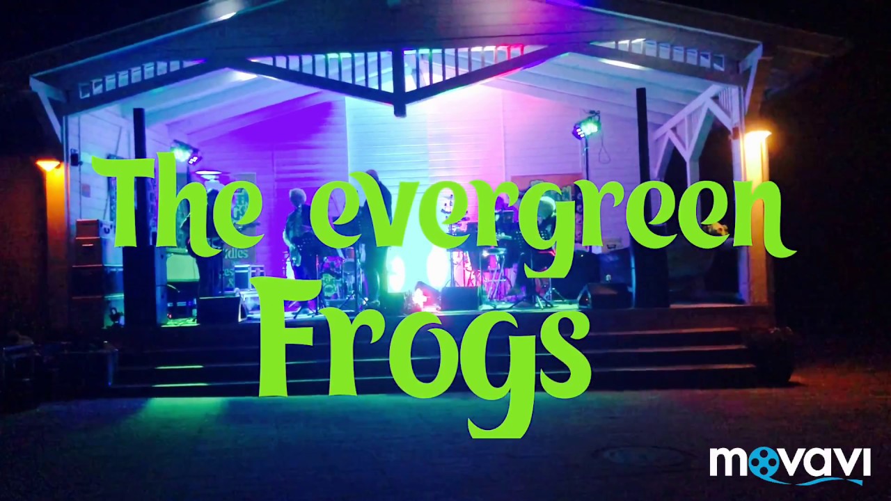 The Evergreen Frogs - YouTube