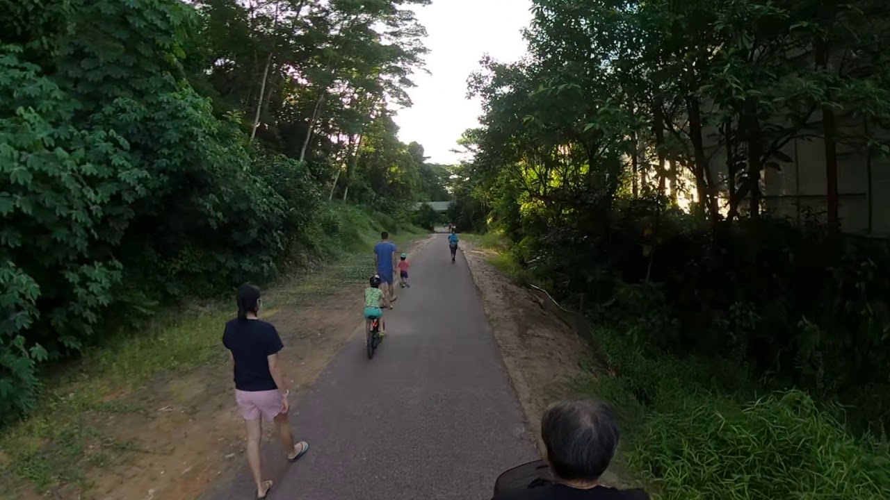 The meaning of 'shared' path... - YouTube