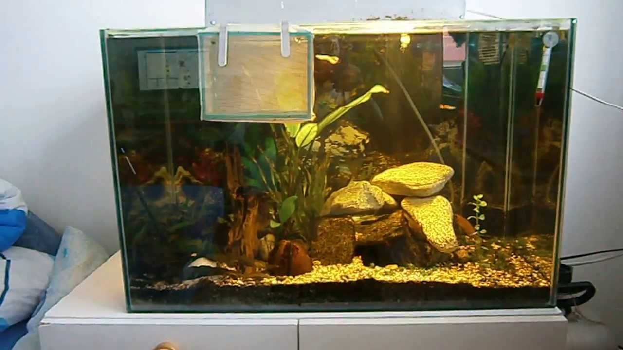 Filtration HD finish! External filter - YouTube