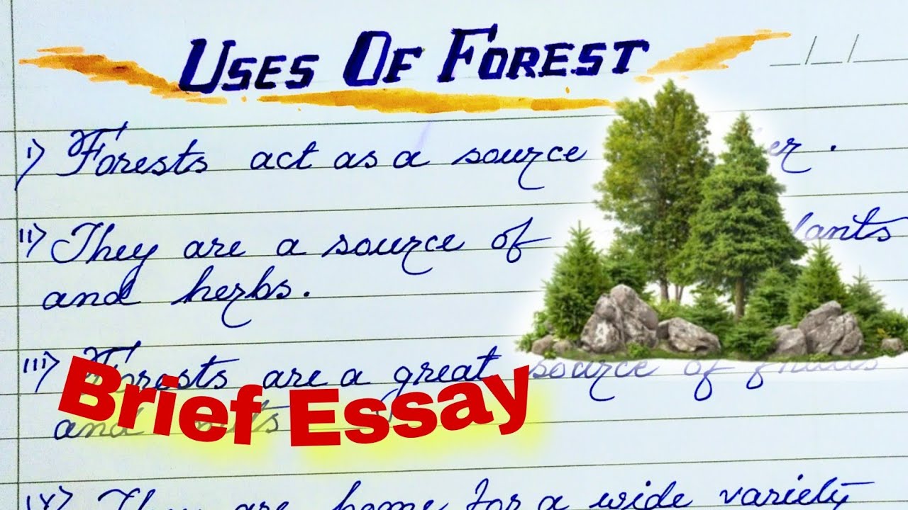 Uses of forest essay in English//Write 10 lines on uses of forest/Write ...