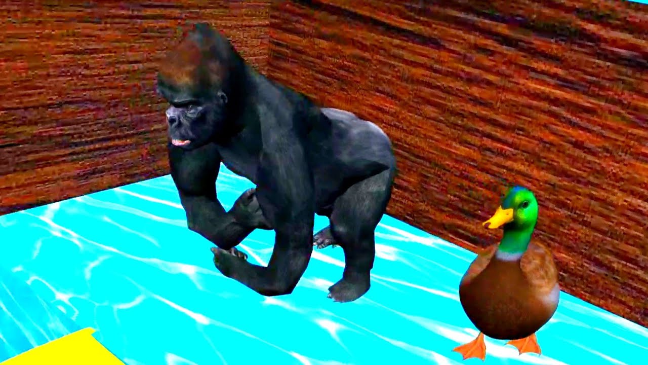 pant Animal's gorilla, elephant ,gorilla, Duck tiger, cow 3d animation ...