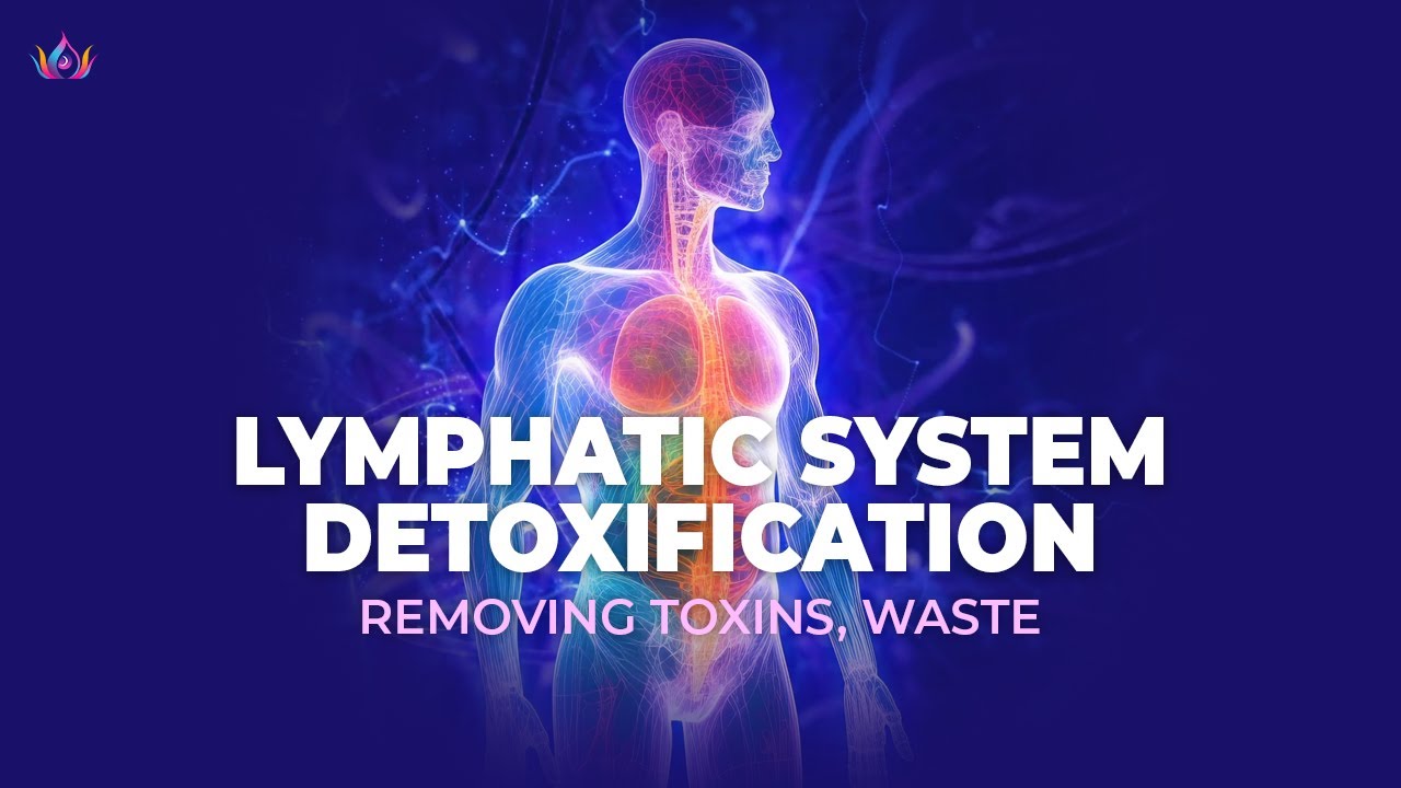 Lymphatic System Detoxification | Body's Immune System Booster ...