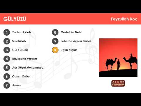 Uçun Kuşlar - Feyzullah Koç