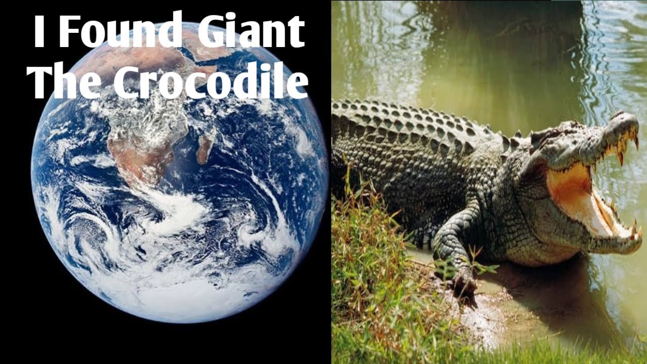 I Found Giant The Crocodile 🐊 On The Google Earth Market # ...