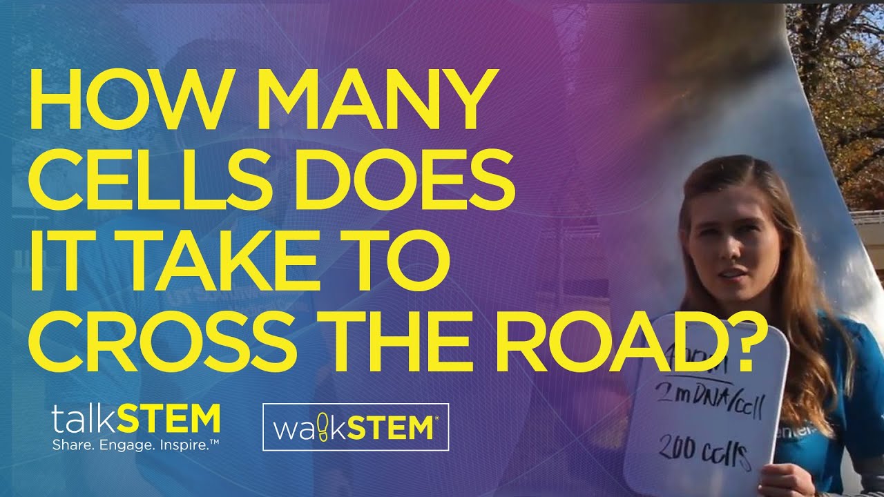 Measuring With Cells How Many Cells Does It Take To Cross The Road measuring-with-cells-how-many-cells-does-it-take-to-cross-the-road