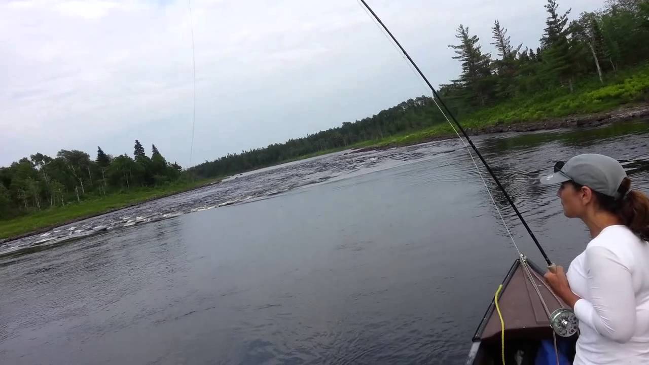 First Salmon on Gander River - YouTube