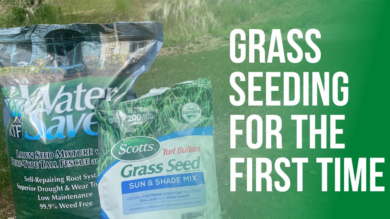 Planting Grass Seed for the First Time - Test Patch || Part 1 - YouTube