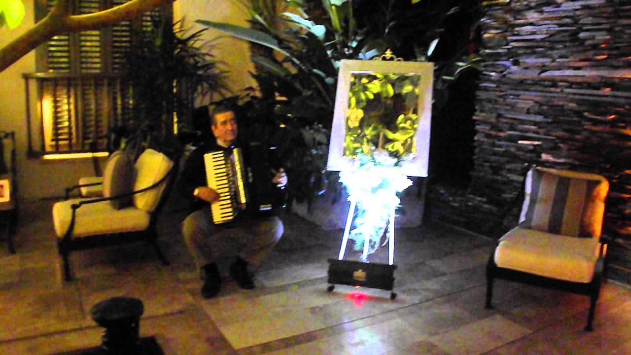 Acordeon Peter Andrade en Cartagen Colombia - YouTube