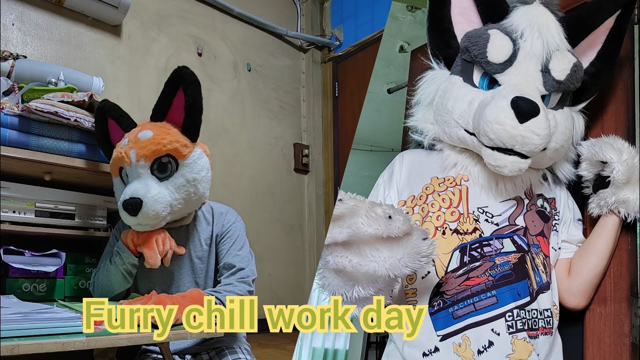Furry chill work day - YouTube