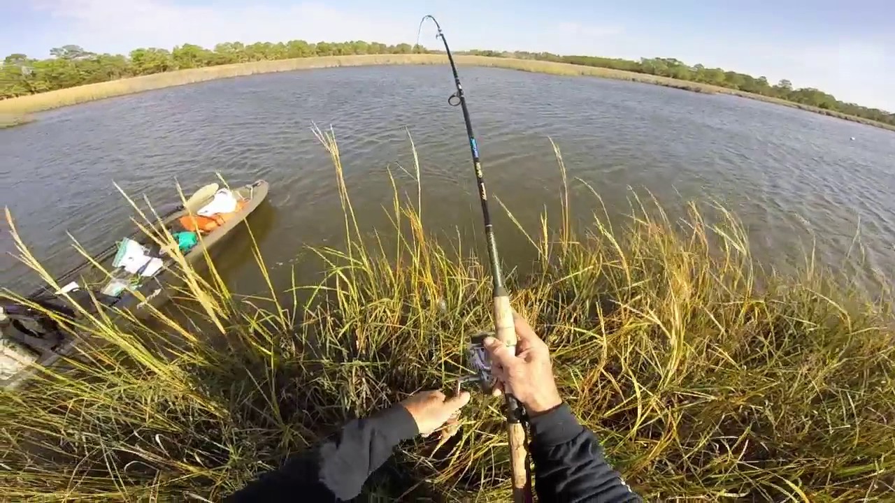 How to Take a Saltwater Catfish Off Your Hook - YouTube