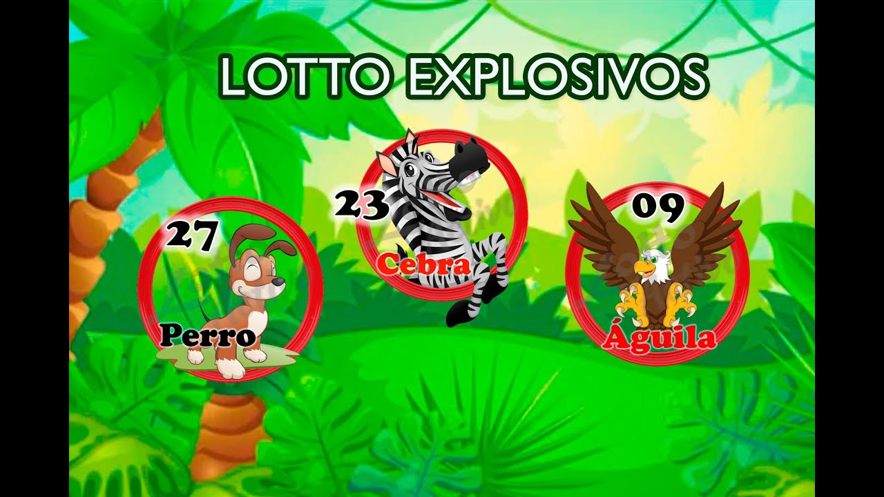 JUEVES 27-06-2024 DATOS LOTTO ACTIVO, GRANJITA, GUACHARO, SELVA PLUS ...