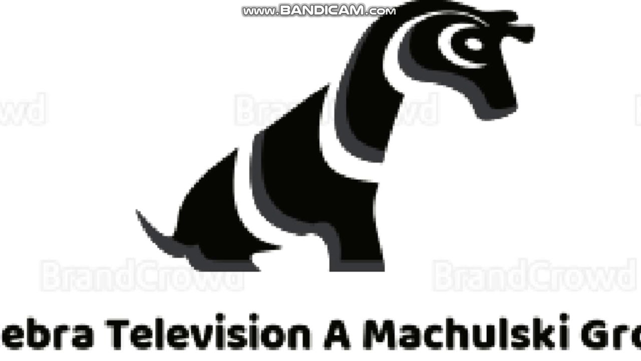 Zebra Television 2020 With 1995 Short Fanfare - YouTube