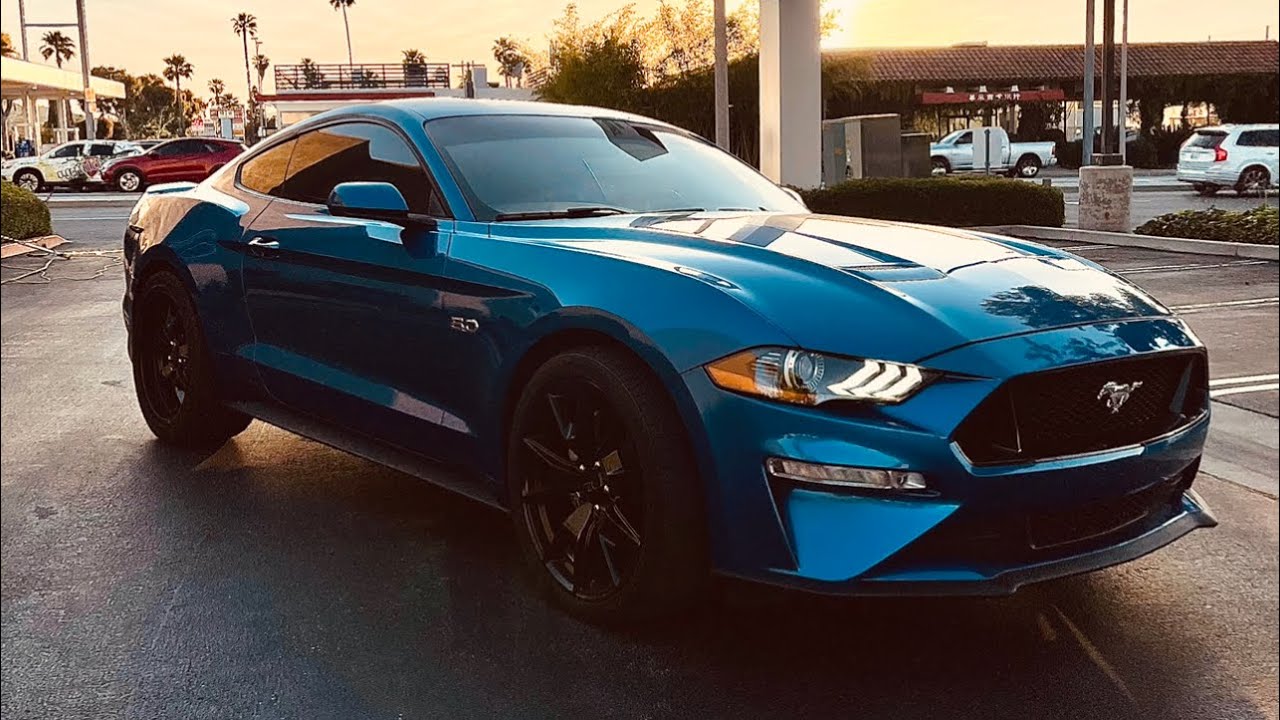 Cops pull over my new 2019 Mustang GT (State Reffed) - YouTube