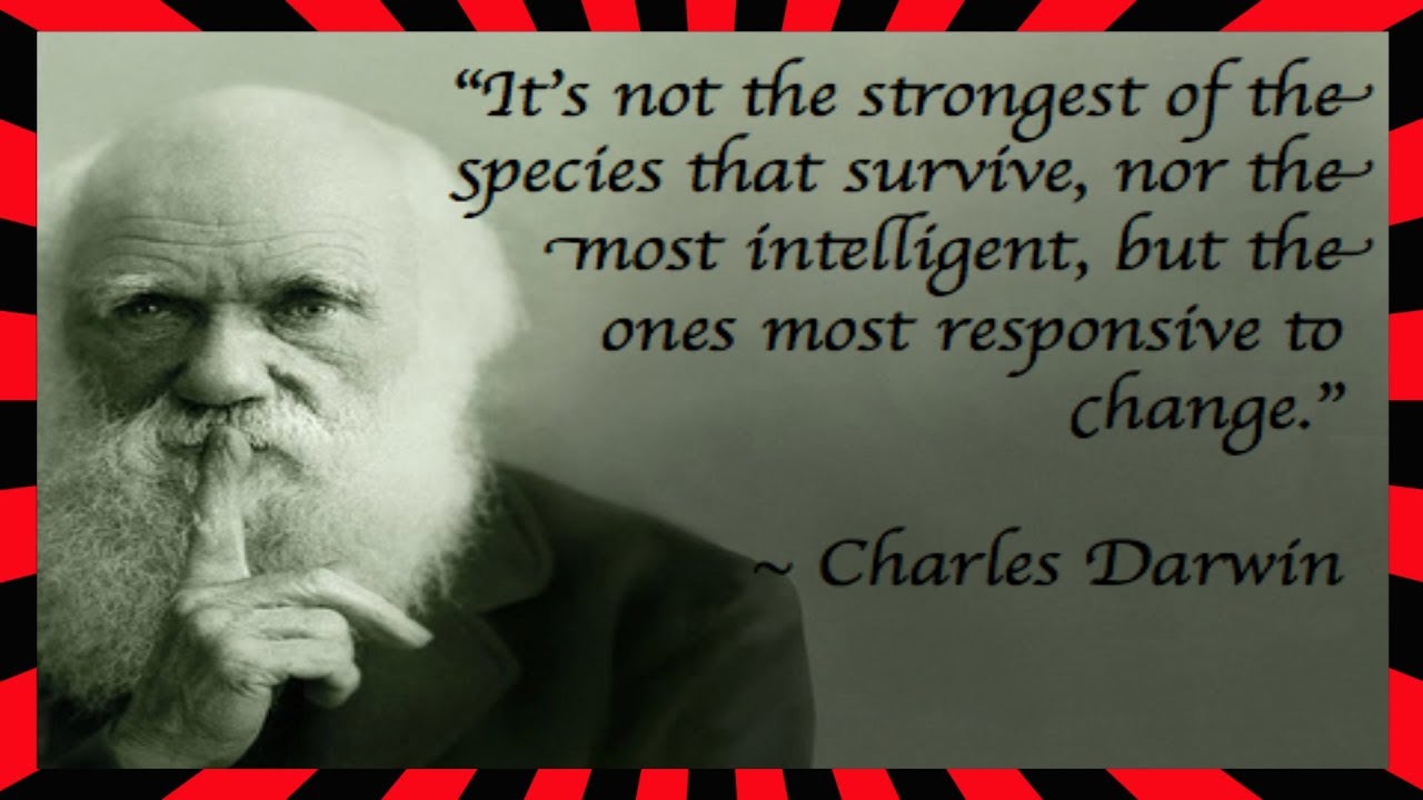 Bring Back The Darwin Awards // Angry Vlogging - YouTube