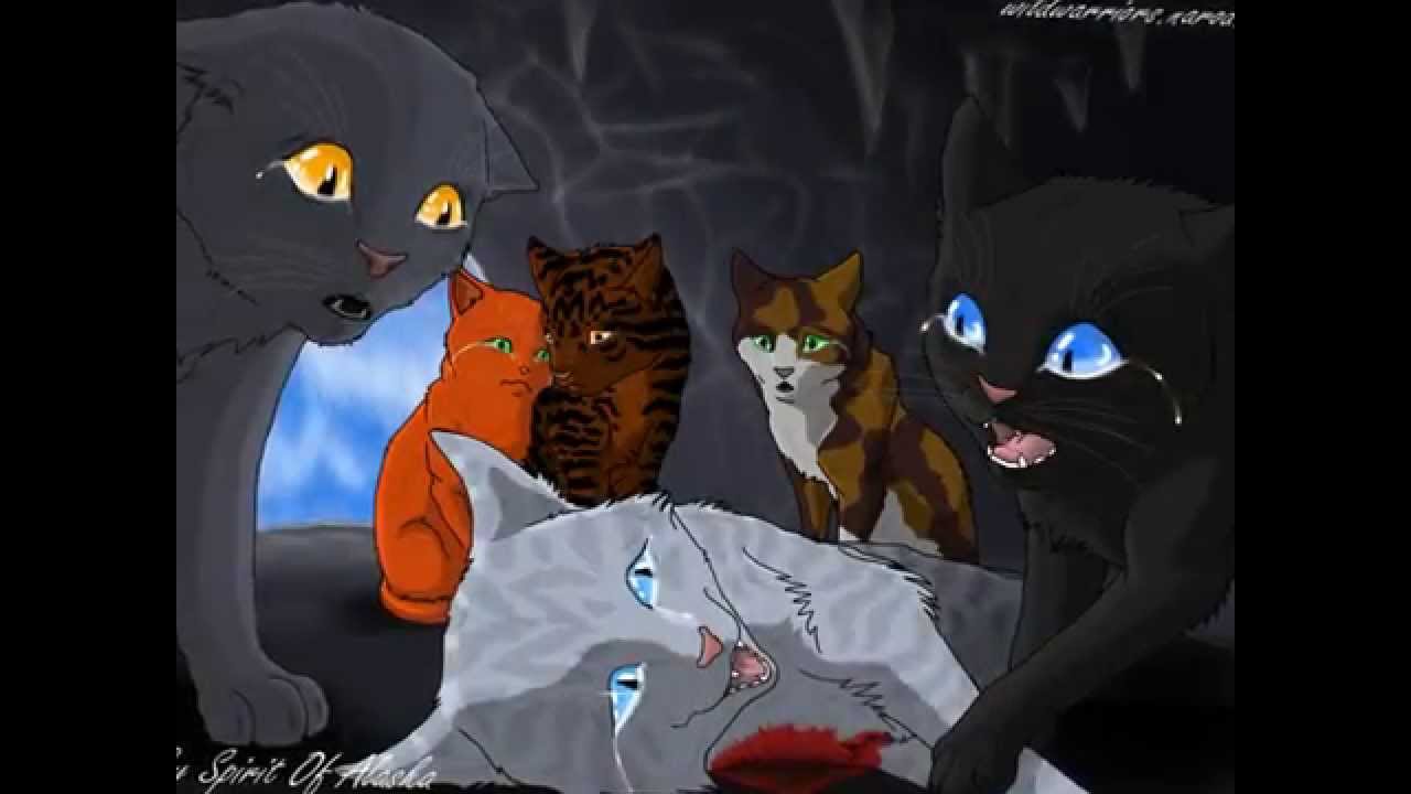 Slipped Away: Crowpaw and Feathertail - YouTube