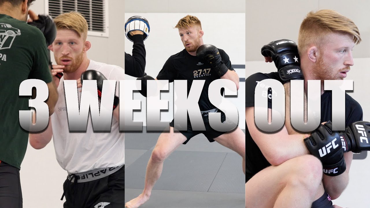 Bo Nickal’s UFC Training Routine |Road to UFC 300| - YouTube