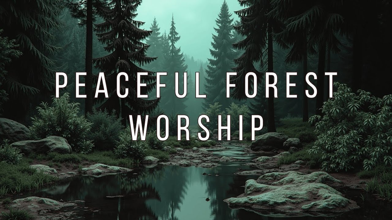 Peaceful Forest Worship Music | Deep Christian Praise Songs ...