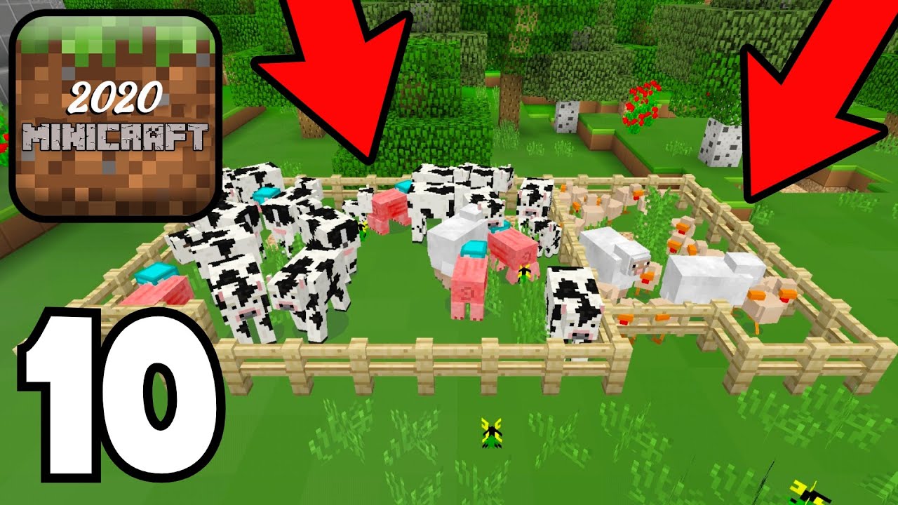 MiniCraft 2020 - Survival Gameplay Part 10 - FARM - G.babs - YouTube