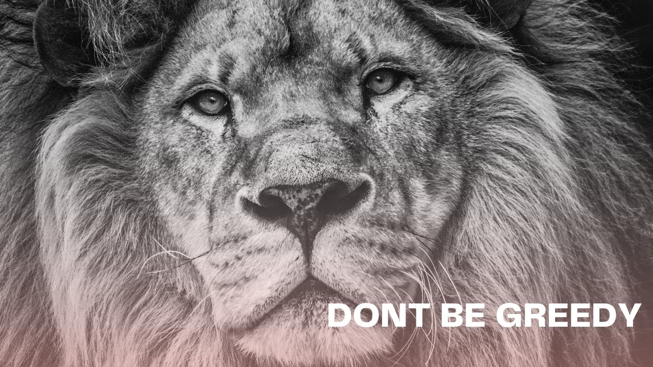 THE GREEDY LION - Moral Story - YouTube