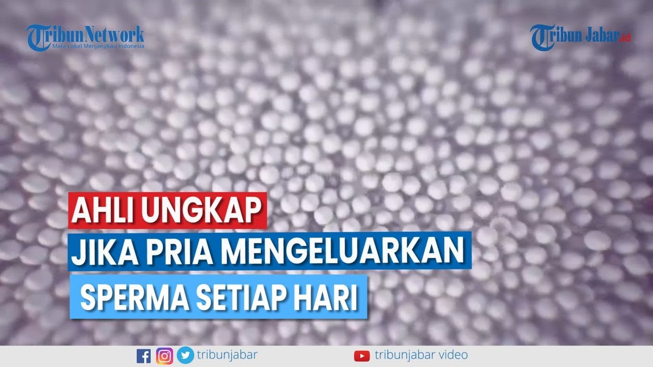 Ahli Ungkap Jika Pria Mengeluarkan Sperma Setiap Hari, Patahkan Mitos Ini - YouTube