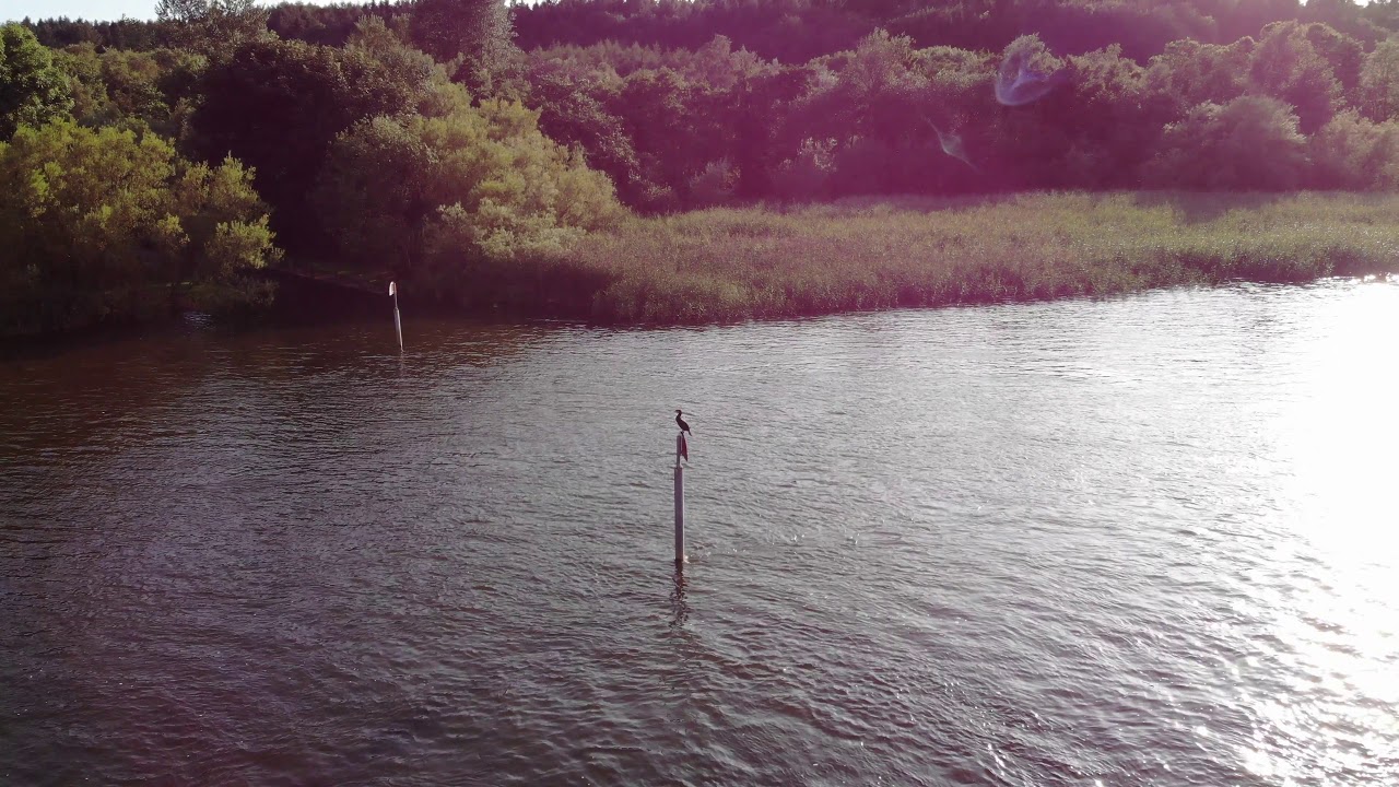 River Bann Coleraine - YouTube