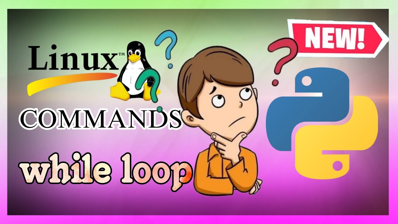 Echo command | While Loop | Python - YouTube