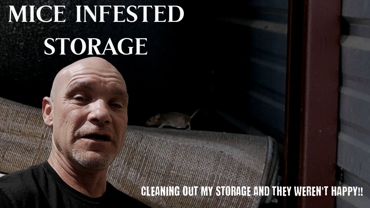 Cleaning Out My Mice Infested Storage And Doing A Dump Run | Day In The ...
