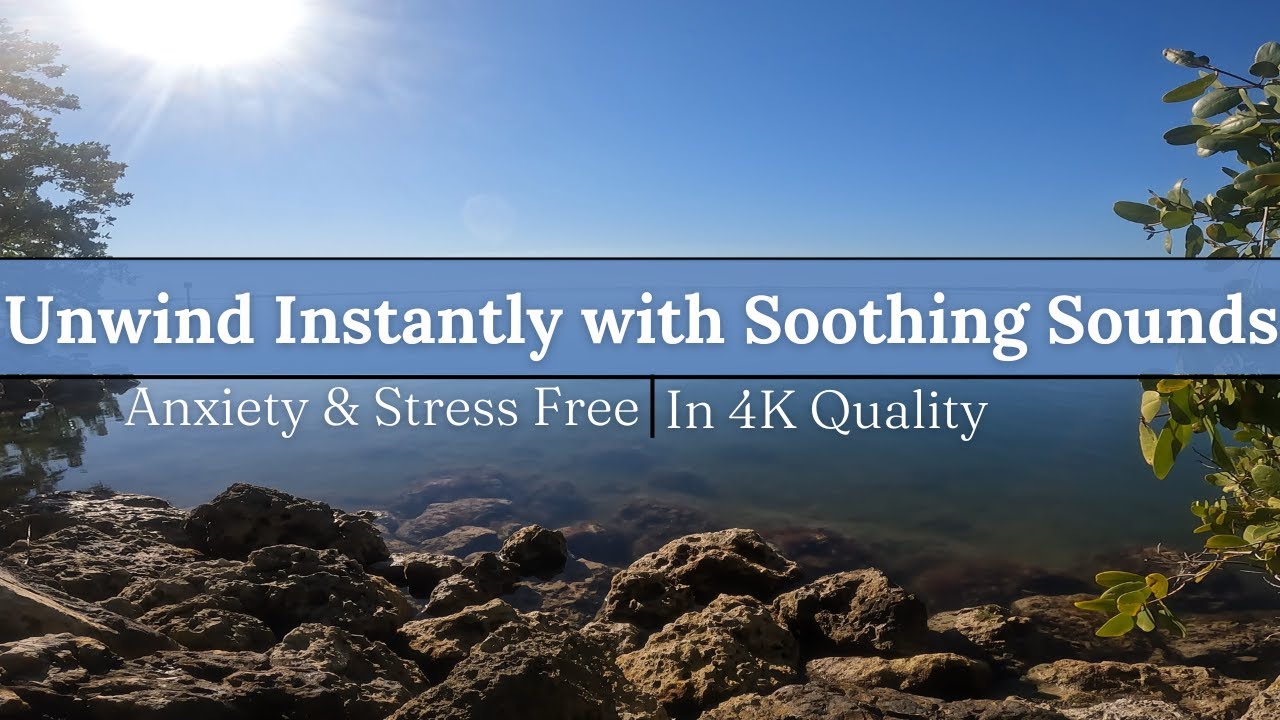 Unwind Instantly with Soothing Sounds in 4k Quality - YouTube