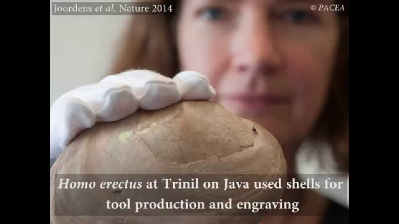 Mussel opening in Trinil, Java, Indonesia - YouTube