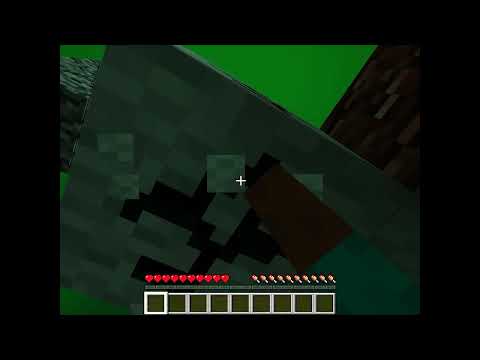fighter.mp4