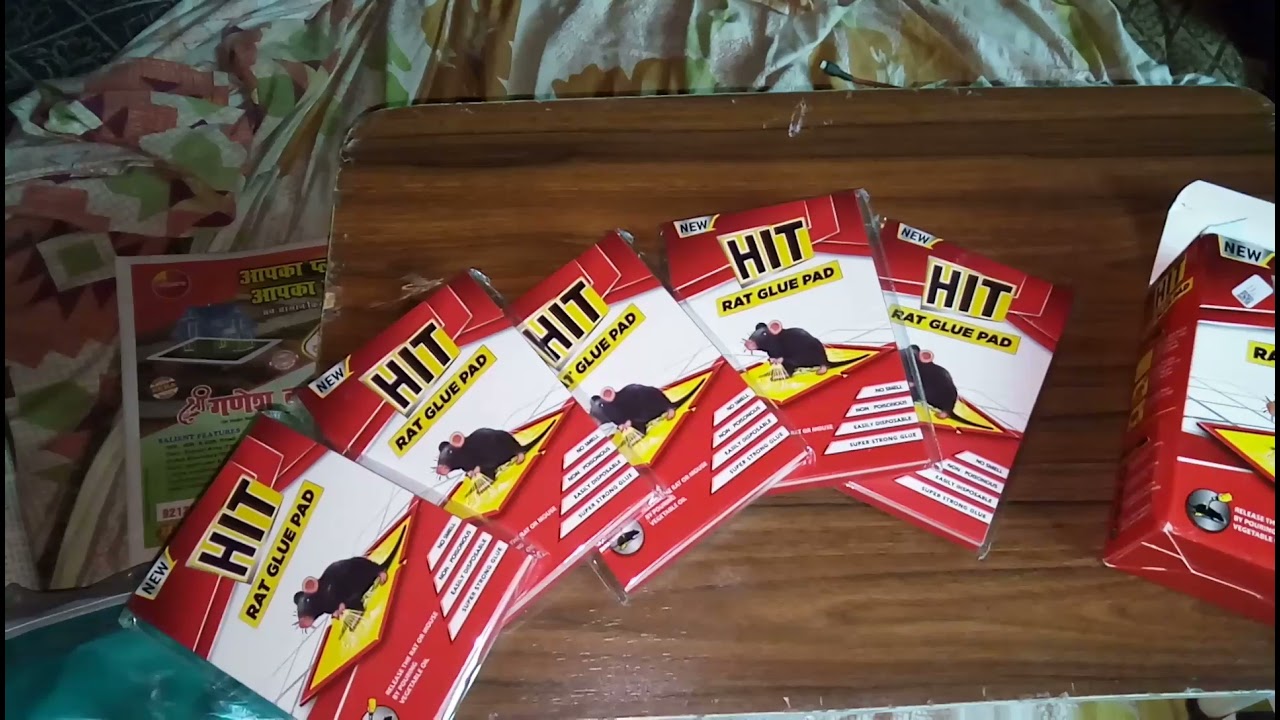 aaj mane chohoo ko pakda by godraj hit rat glue pad - YouTube