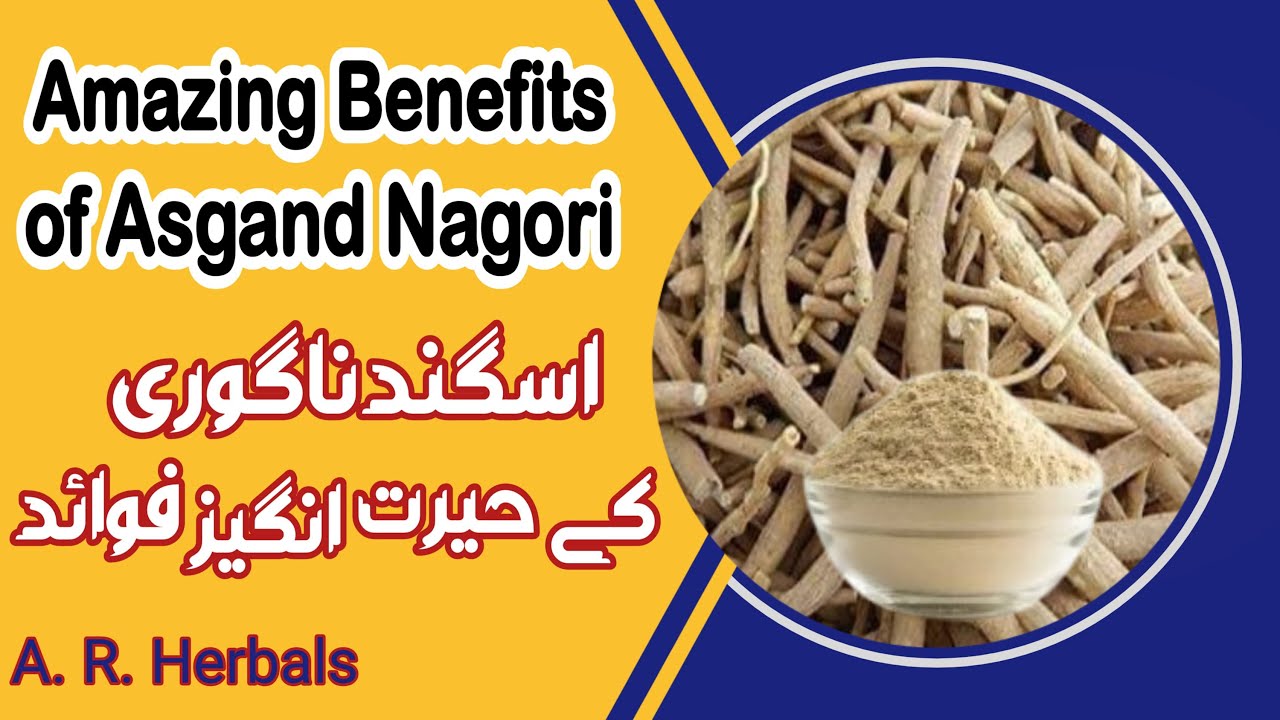 Asgand Nagori ( Ashwagandha ) Benefits for Health, Strength & Immunity ...