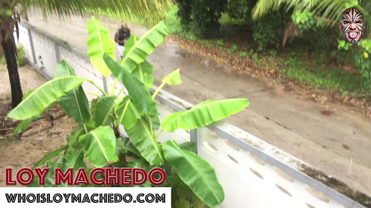 Loy Machedo Exercise Routine In The Thailand Rain (Raw Video Footage ...
